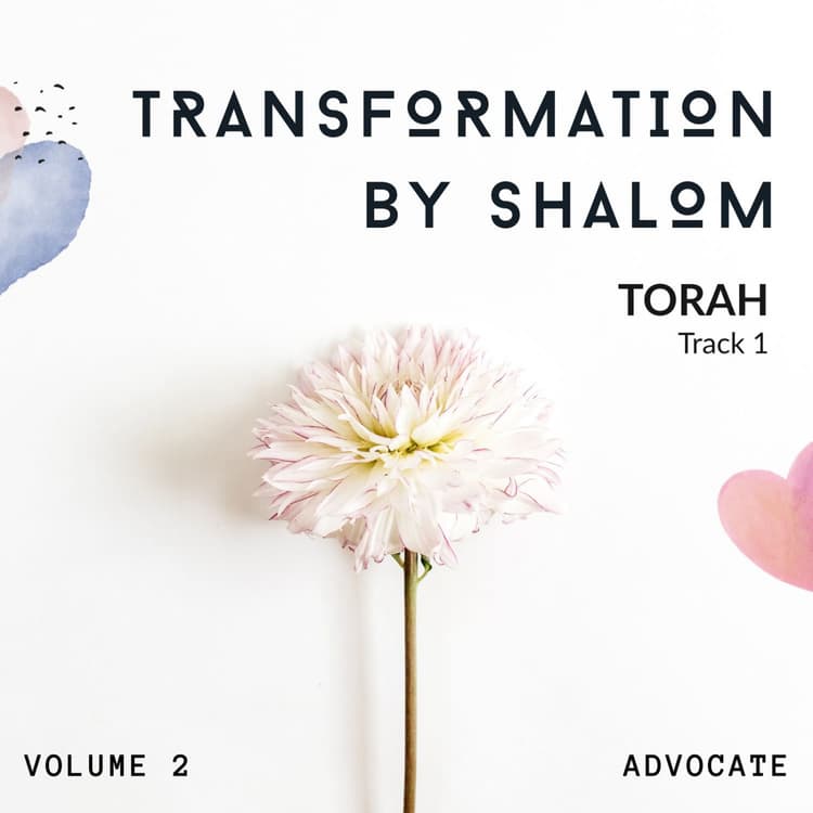 Atmospheres of Shalom: Vol. 2 – Transformation by Shalom - Track 1 ...